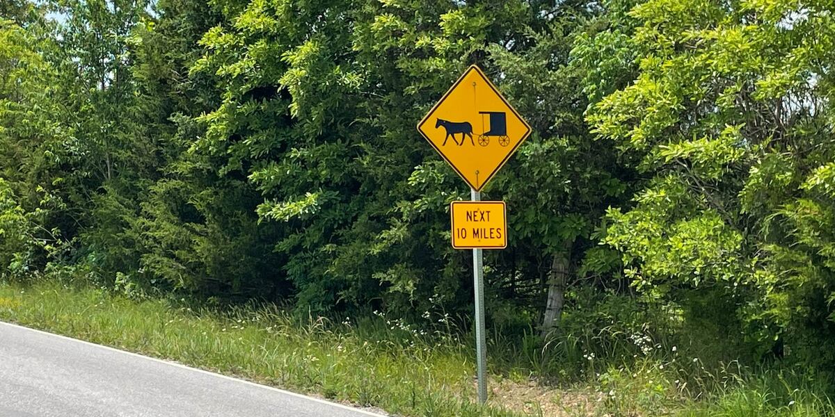 3 young siblings killed in crash involving Amish buggy 3 young siblings killed in crash involving Amish buggy